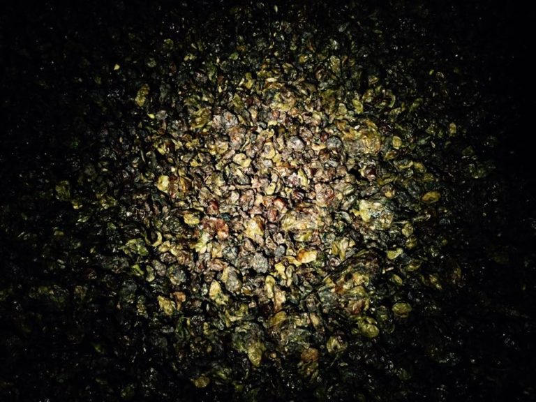 Rencontre avec ... Zoltan Demeter du domaine éponyme à Tokaj ! - Valade ...