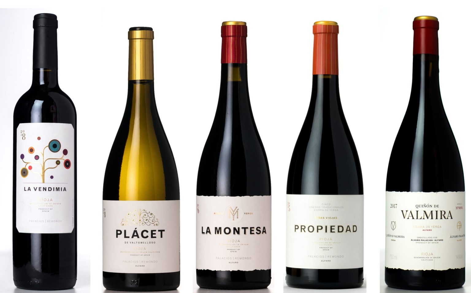 Rioja : Le Millésime 2020 selon Alvaro Palacios - Valade & Transandine